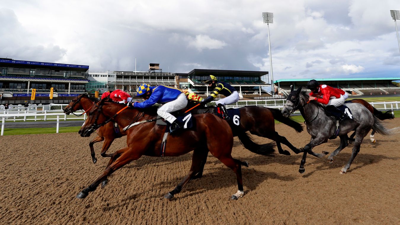 Free Friday racing tips: Newcastle preview
