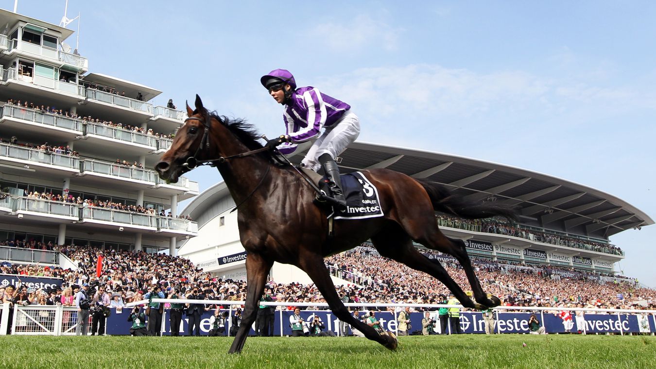 Dan Briden Two-Year-Old Guide: Jack Conroy
