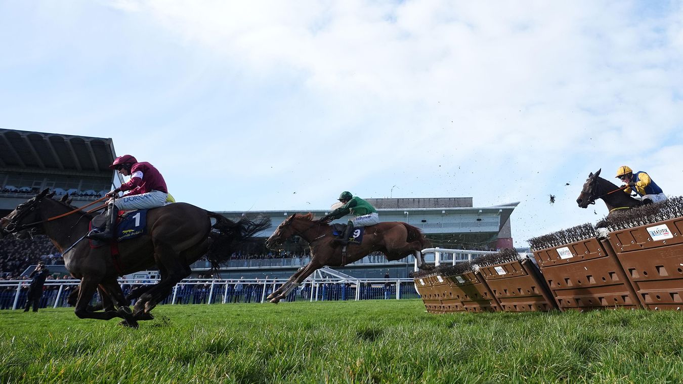 Trackside Live: Horses to Follow from the DRF and Musselburgh