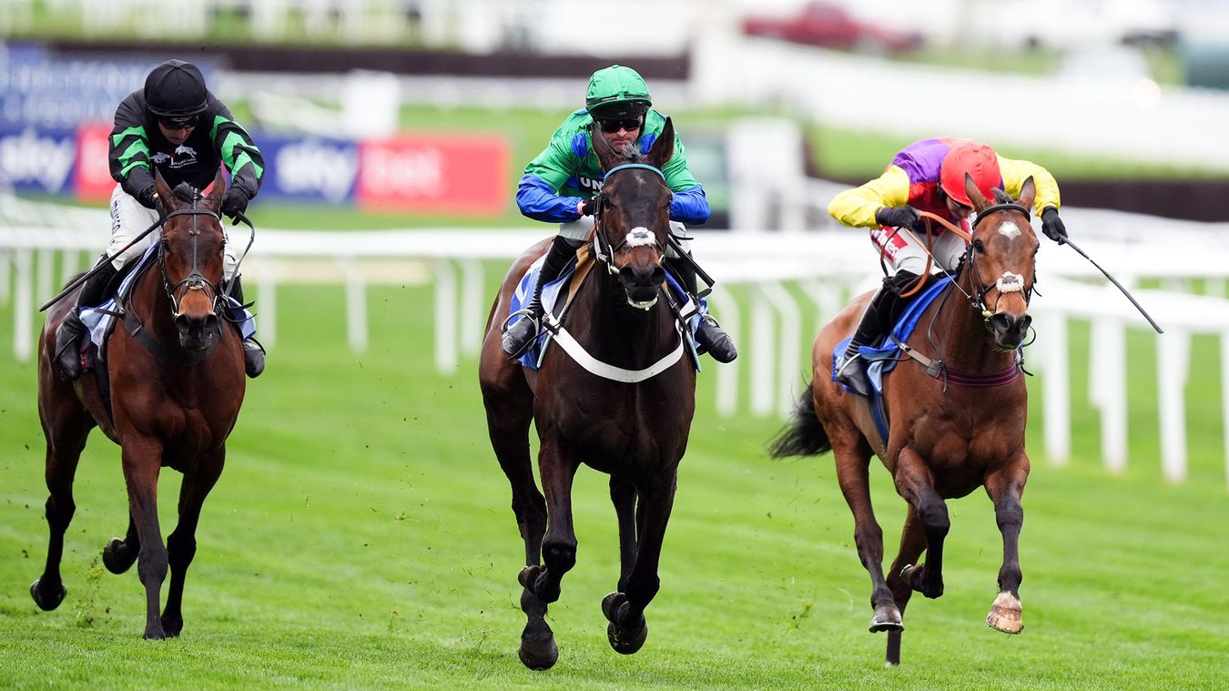 Sky Bet Supreme Novices' Hurdle result: Old Park Star wins as British ...