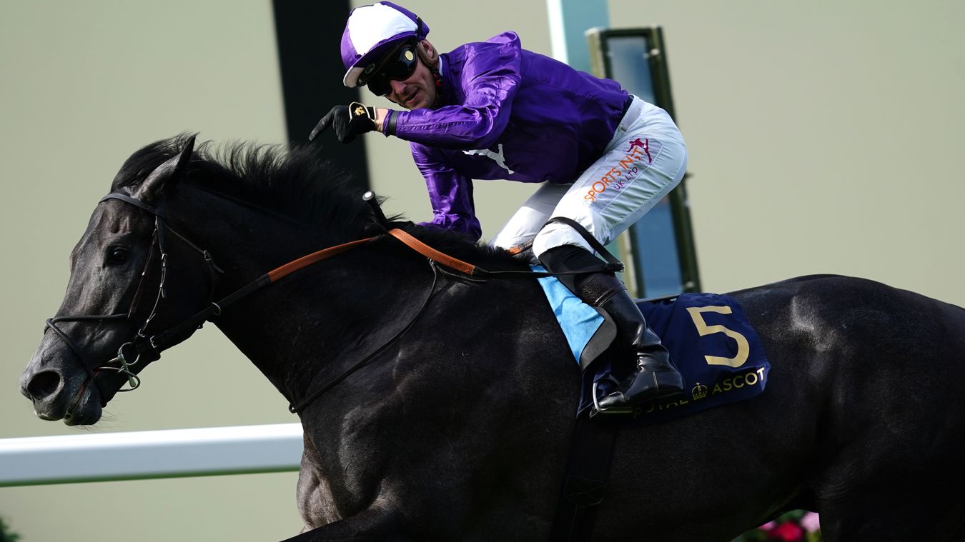 Kevin Stott loses role as retained jockey for Amo Racing