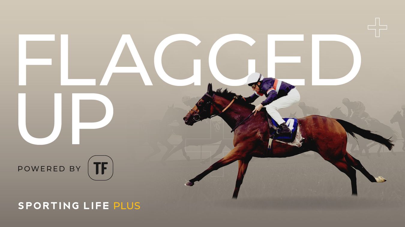 Today's Timeform Tip: Flagged Up horse racing selection