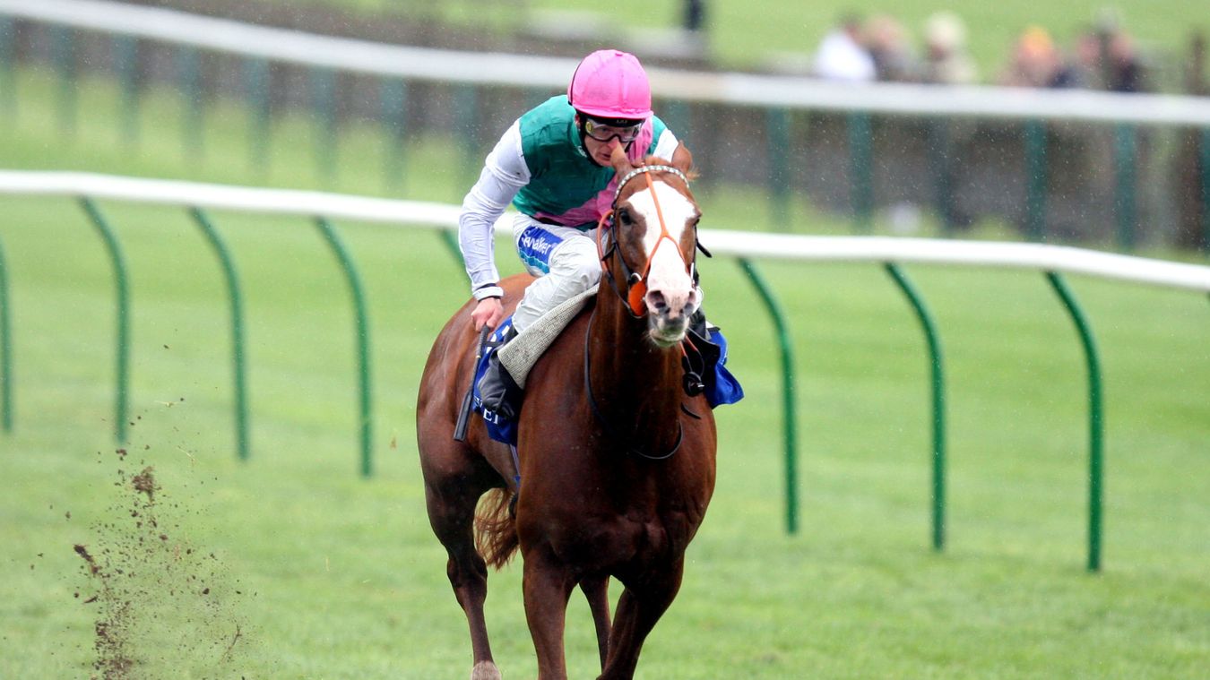 Dan Briden Two-Year-Old Guide: Dylan Cunha and George Scott