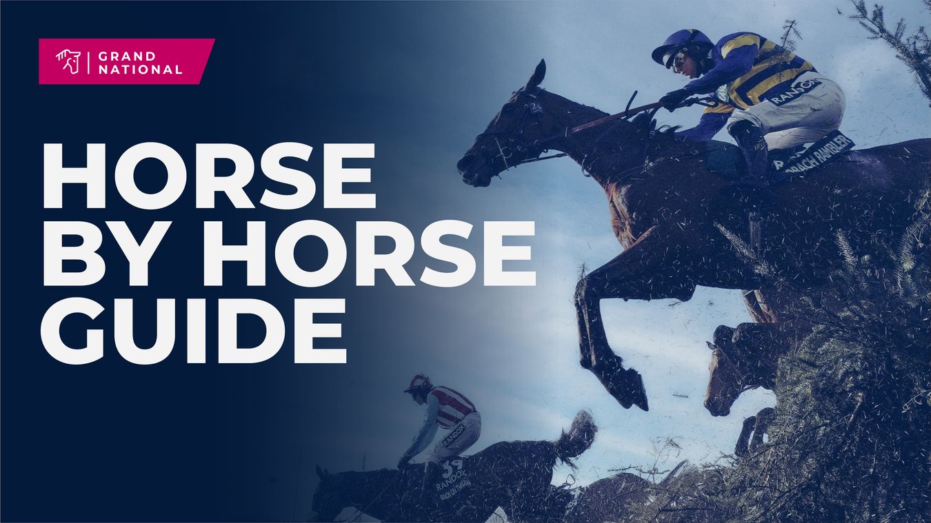 Grand National Runners & Tips: Pinstickers' Guide to 2024 Aintree field