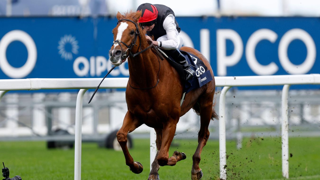 Kyprios won the Long Distance Cup at Ascot | report and free video replay
