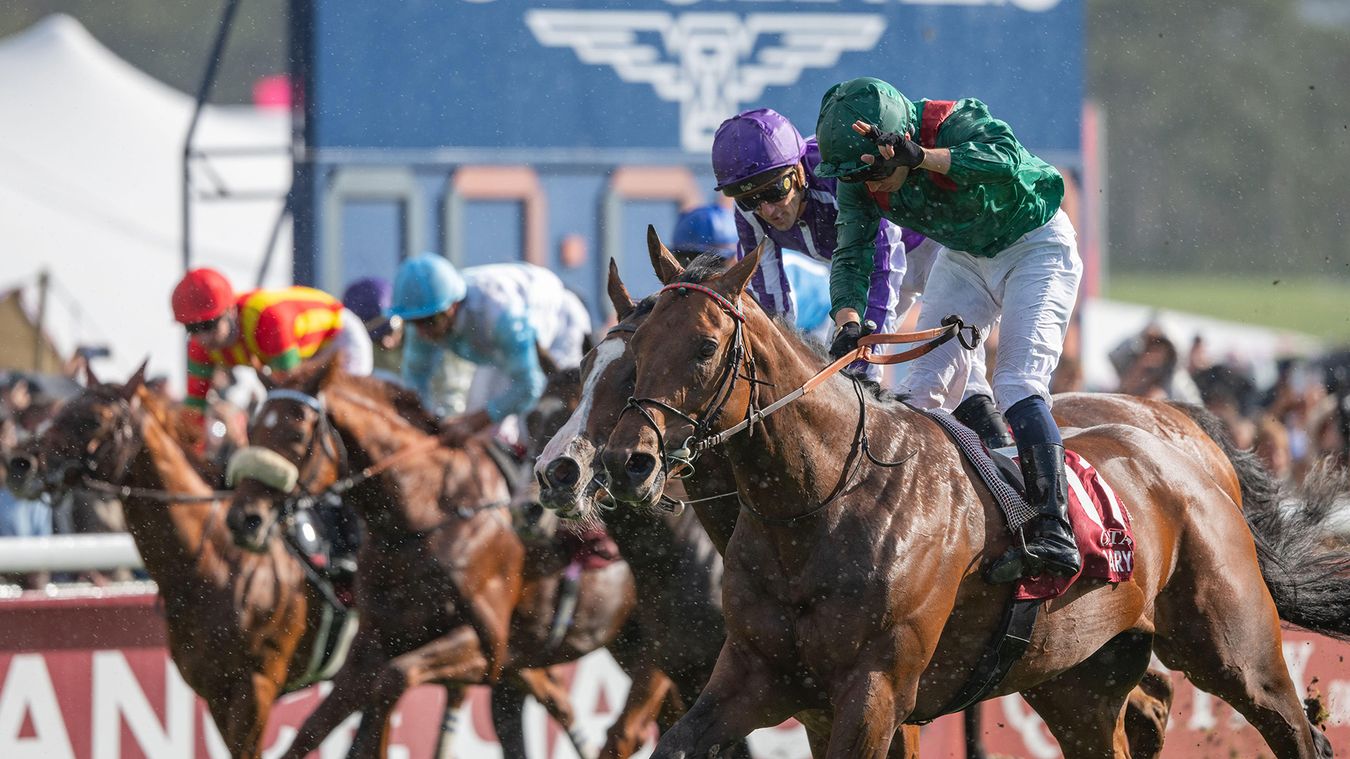 Five things we learned from the recent stallion fee releases