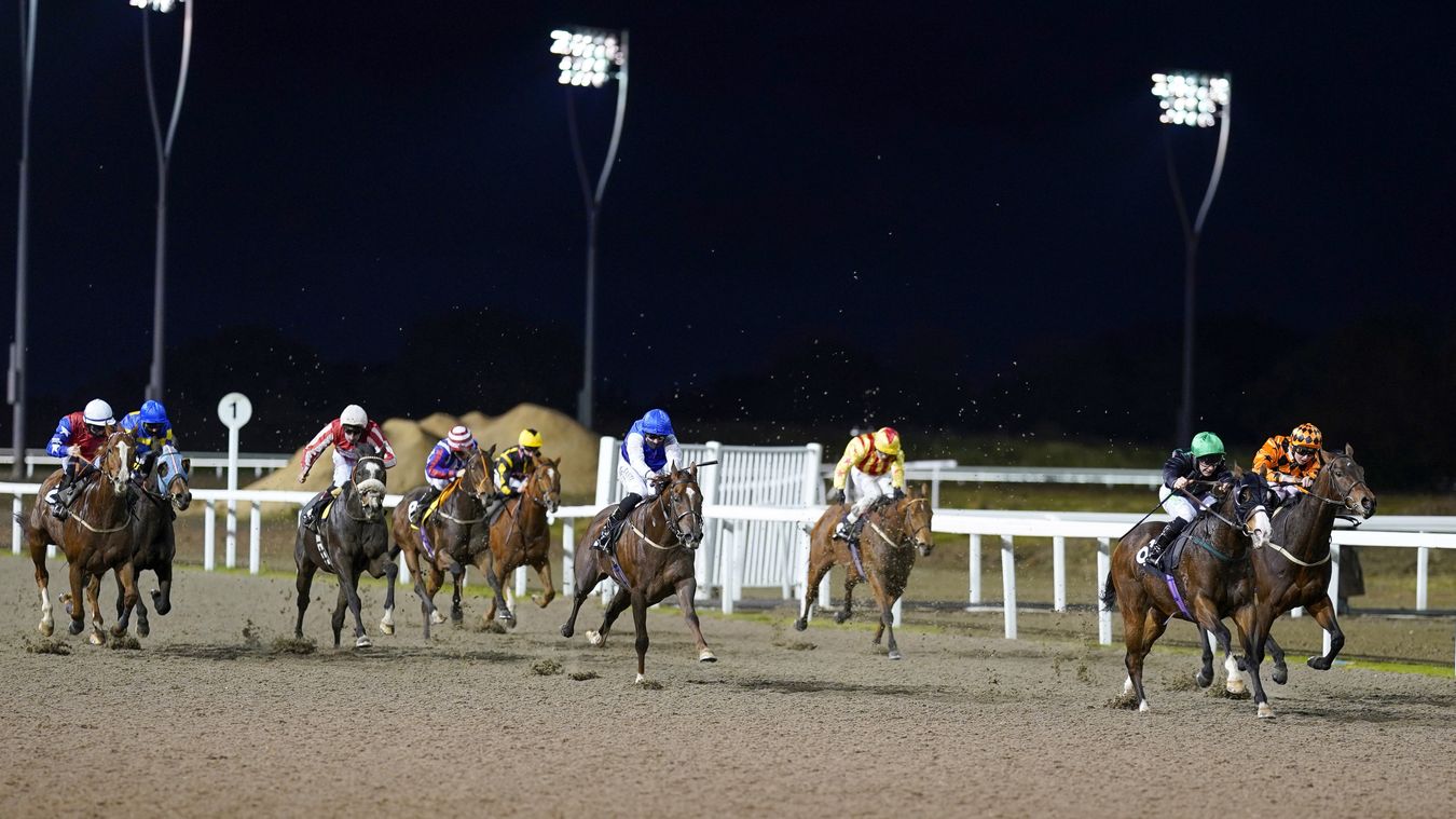 Chelmsford racing tips: Man On The Spot preview and verdicts for ...