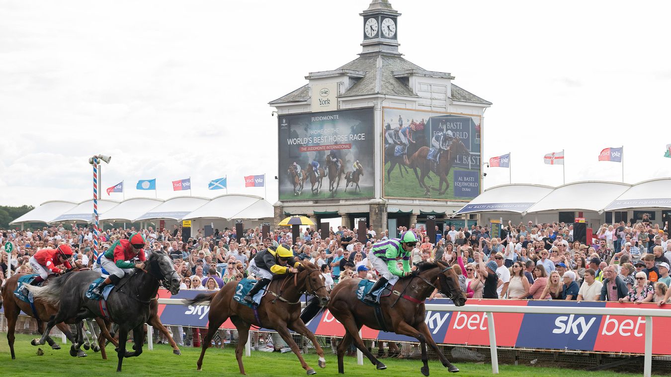 Horses to follow: Trackside Live team with horses for My Stable