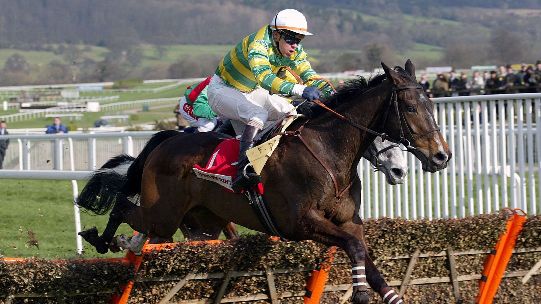 Simon Holt: We need to see jumps horses more and early-closing ...