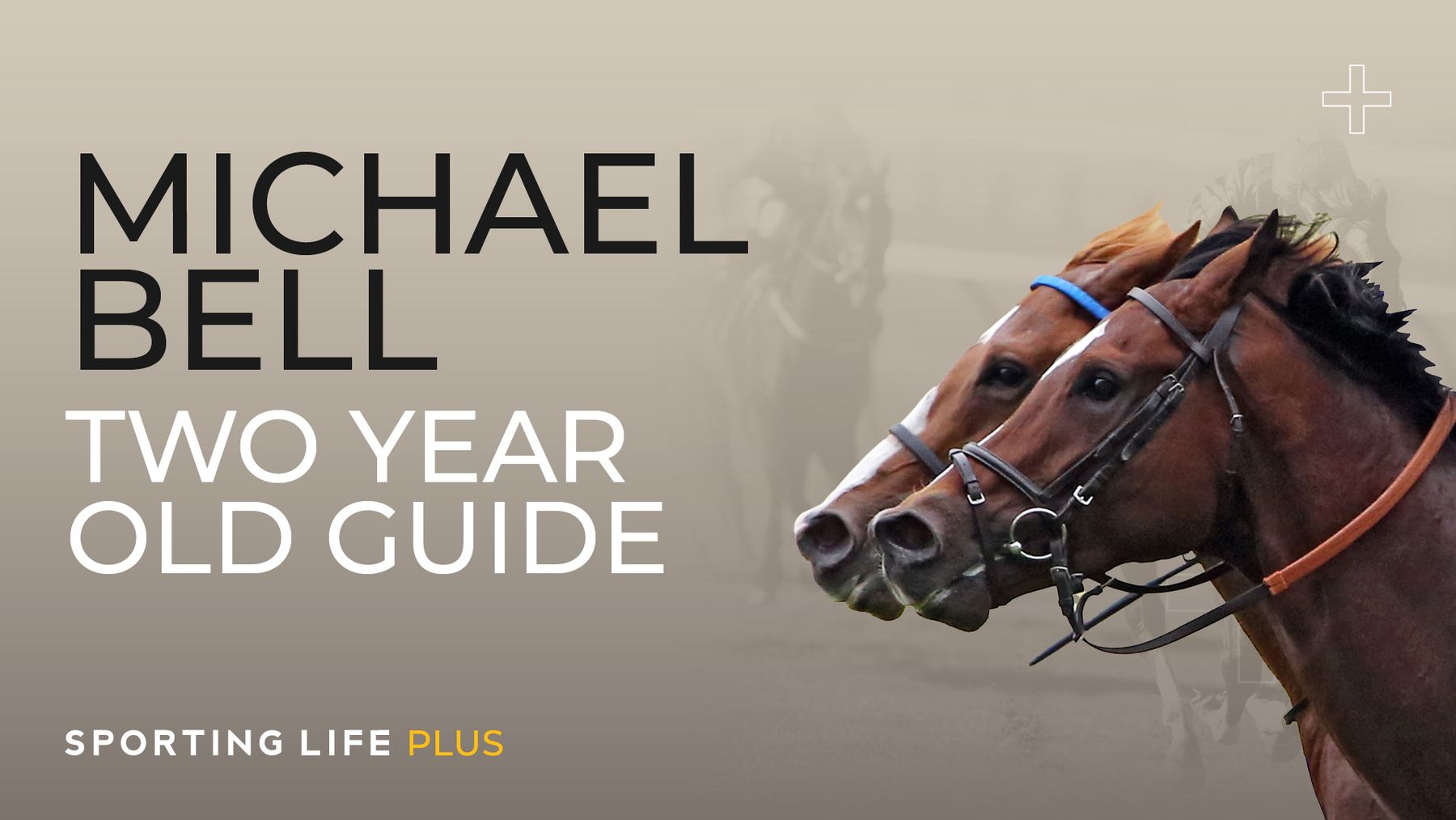 Dan Briden Two-Year-Old Guide: Michael Bell