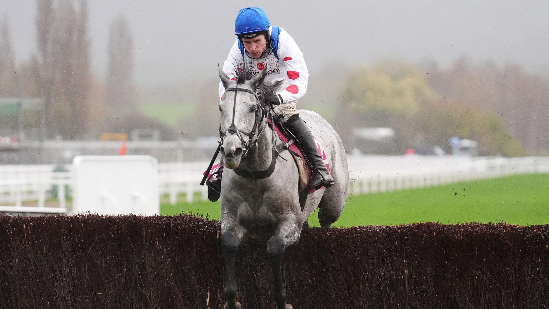 Betfair Tingle Creek Chase preview: Dan Skelton expects Jonbon to bite ...