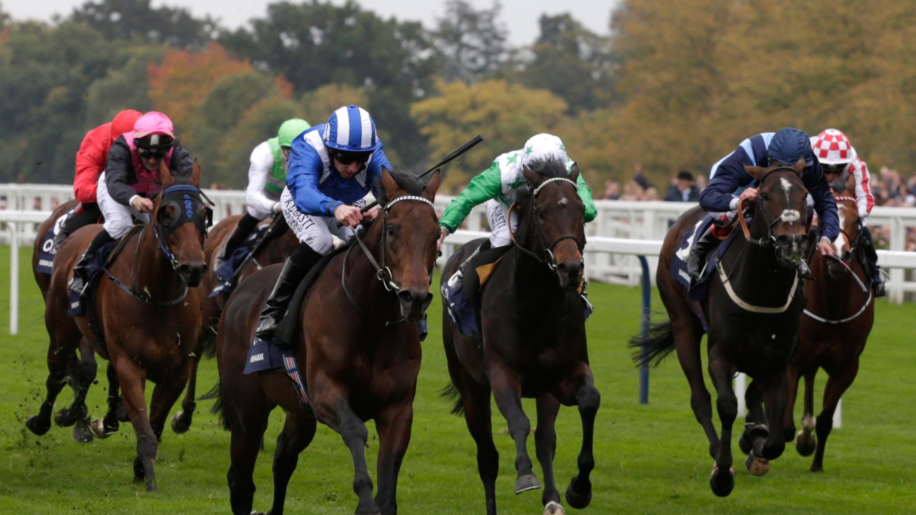 Six of the best from high-class sprinter Oasis Dream