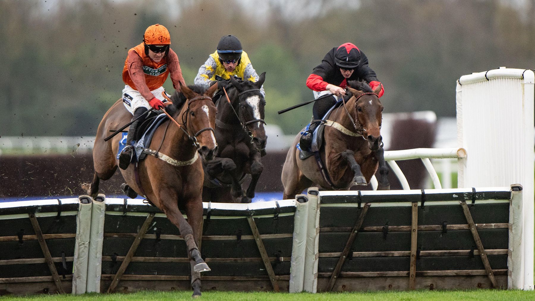 Trackside: Horses to follow including West Hill Verde and Clondaw Park