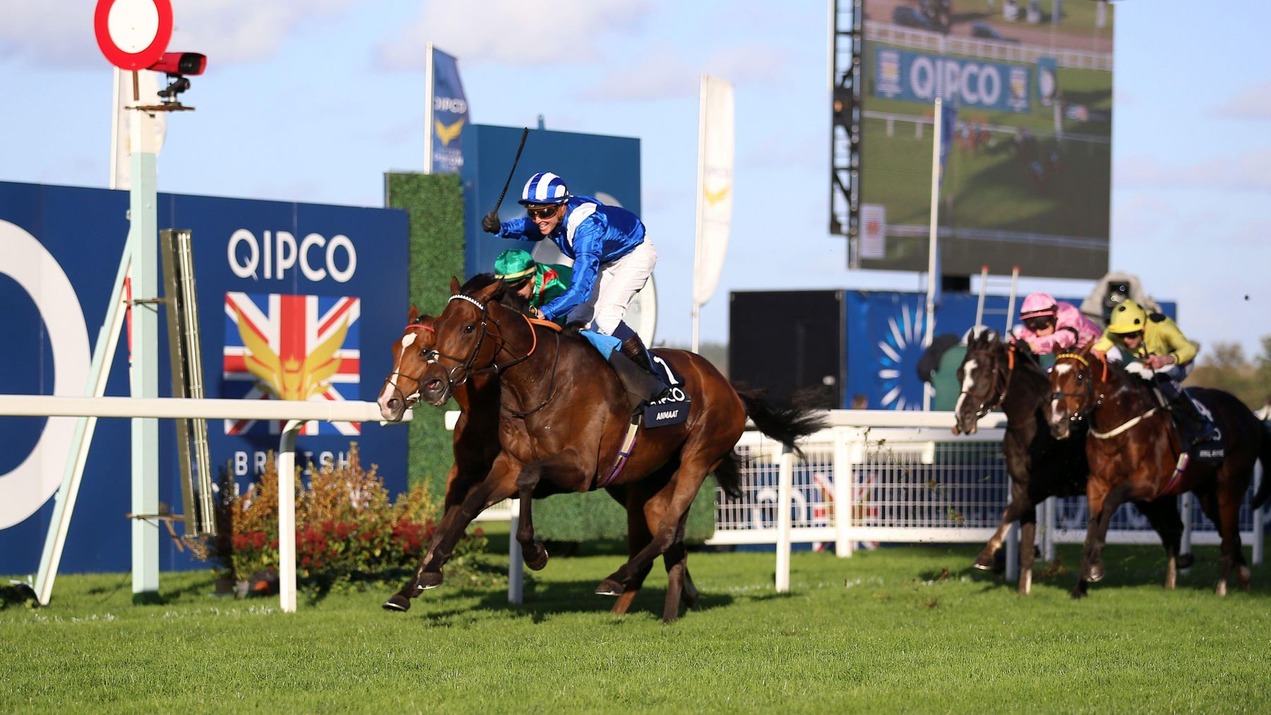 Owen Burrows' champion Anmaat retired after Irish Champion second
