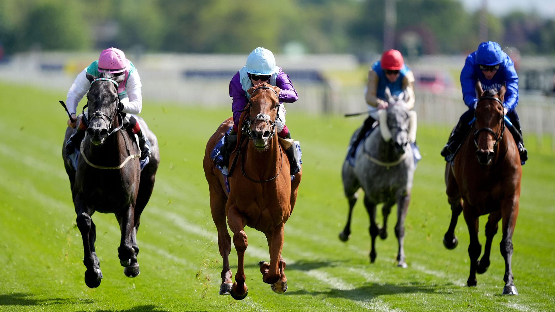 Live racing blog recap: Trackside Live updates from the Dante Festival ...
