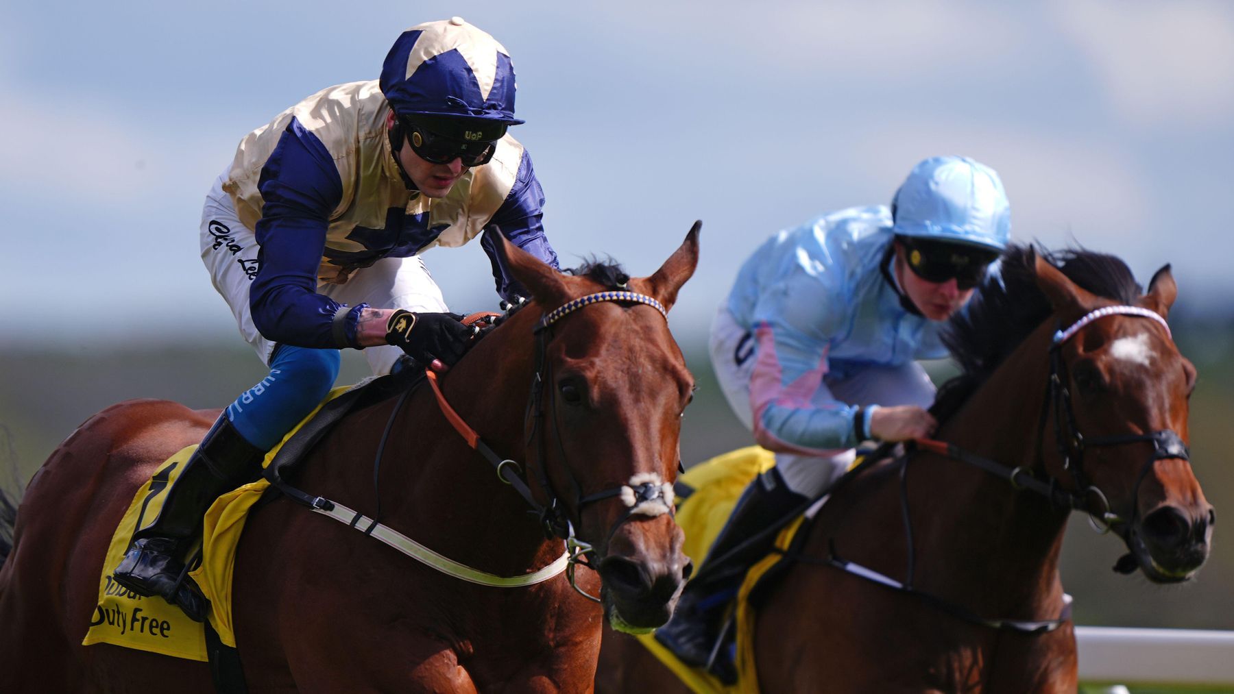 Live racing blog: Recap all of the Trackside live updates from Newbury ...