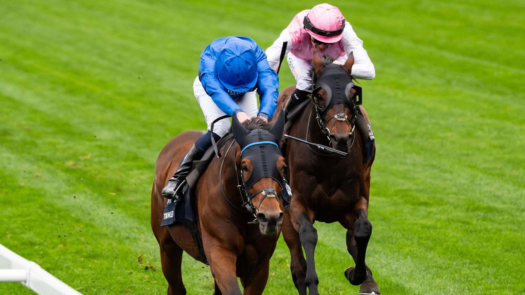 Qipco British Champions Long Distance Cup report, reaction and free ...