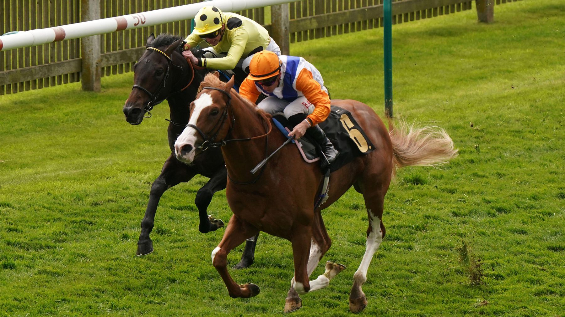 Craven Meeting day one review as Ten Bob Tony wins for Ed Walker