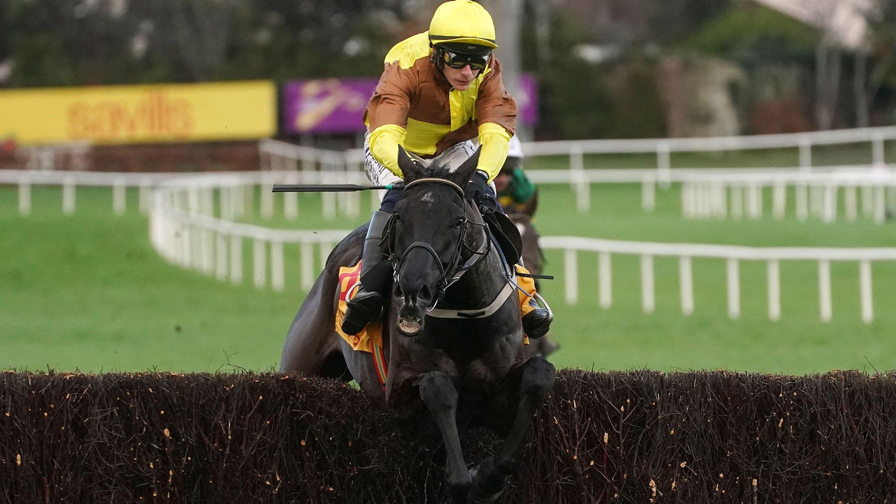 Dublin Racing Festival day one final fields: No Gaelic Warrior in Irish ...