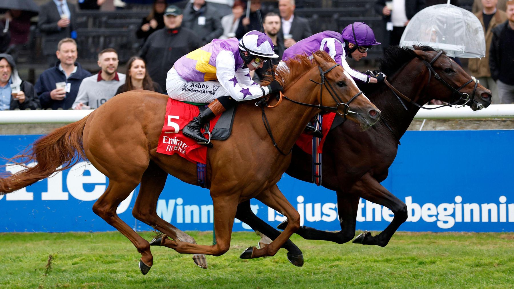 Ralph Beckett-trained Stanhope Gardens dies in gallops incident
