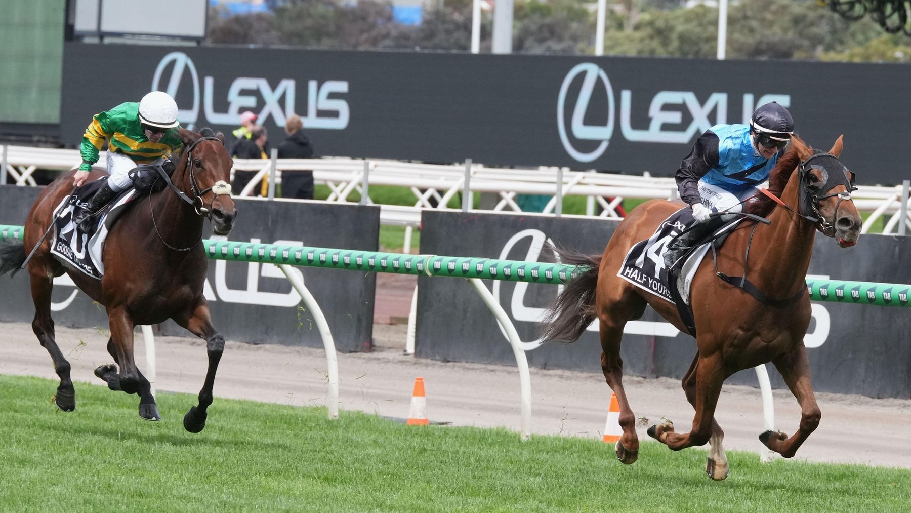 Half Yours wins Melbourne Cup under Jamie Melham