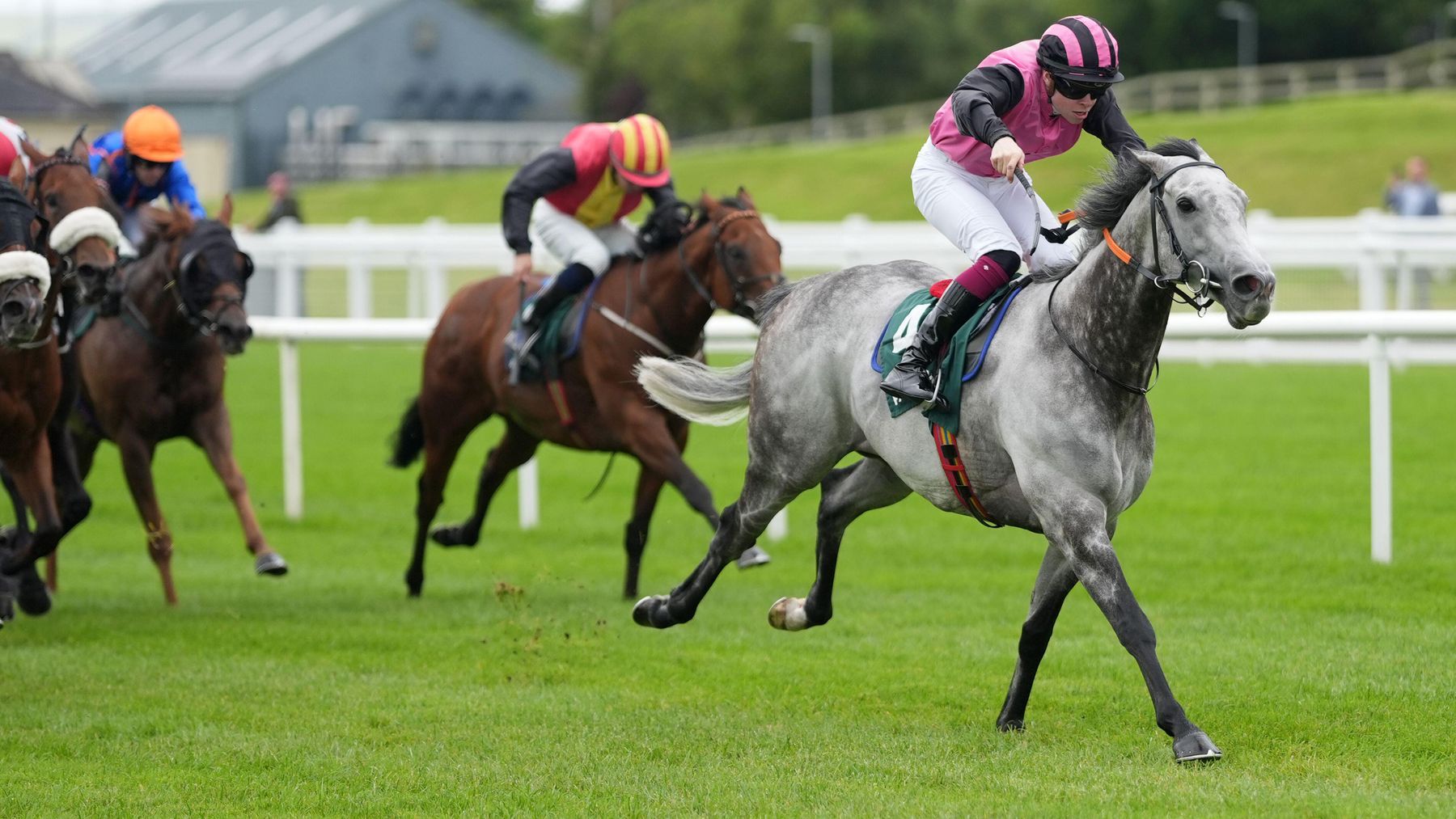 Big Gossey takes Curragh tally to eight with Gladness Stakes success