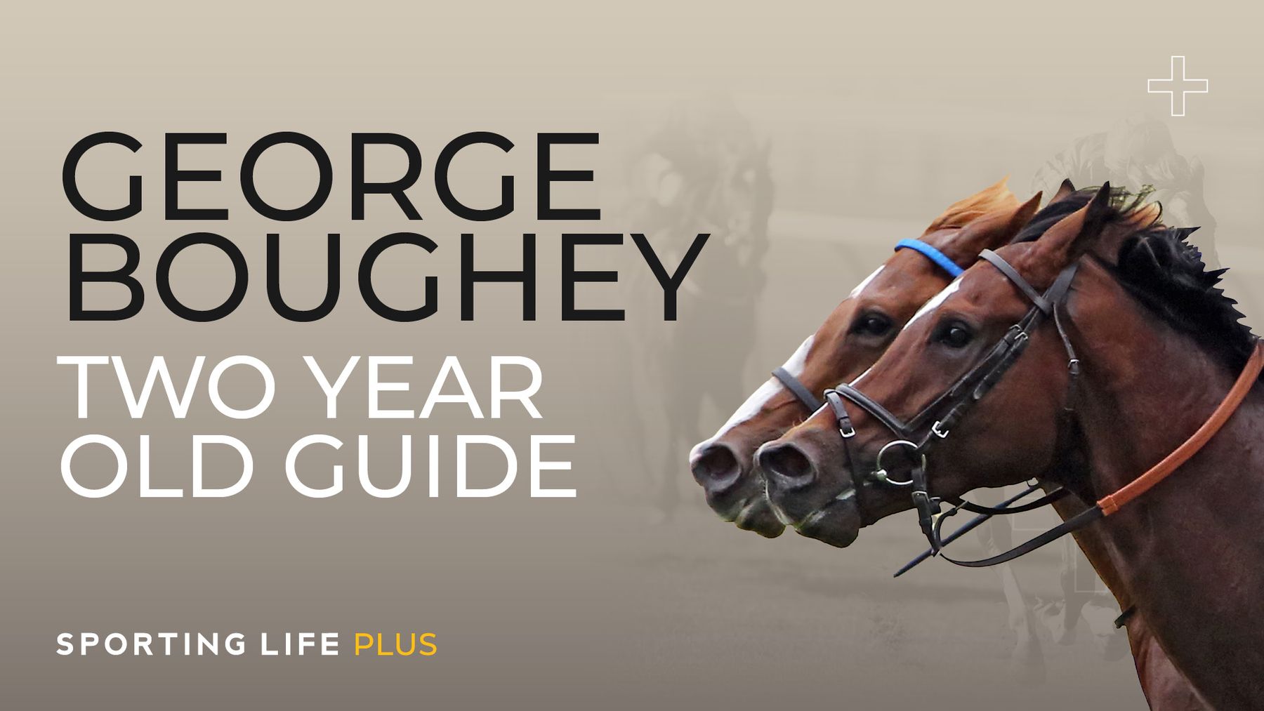 Dan Briden Two-Year-Old Guide: George Boughey