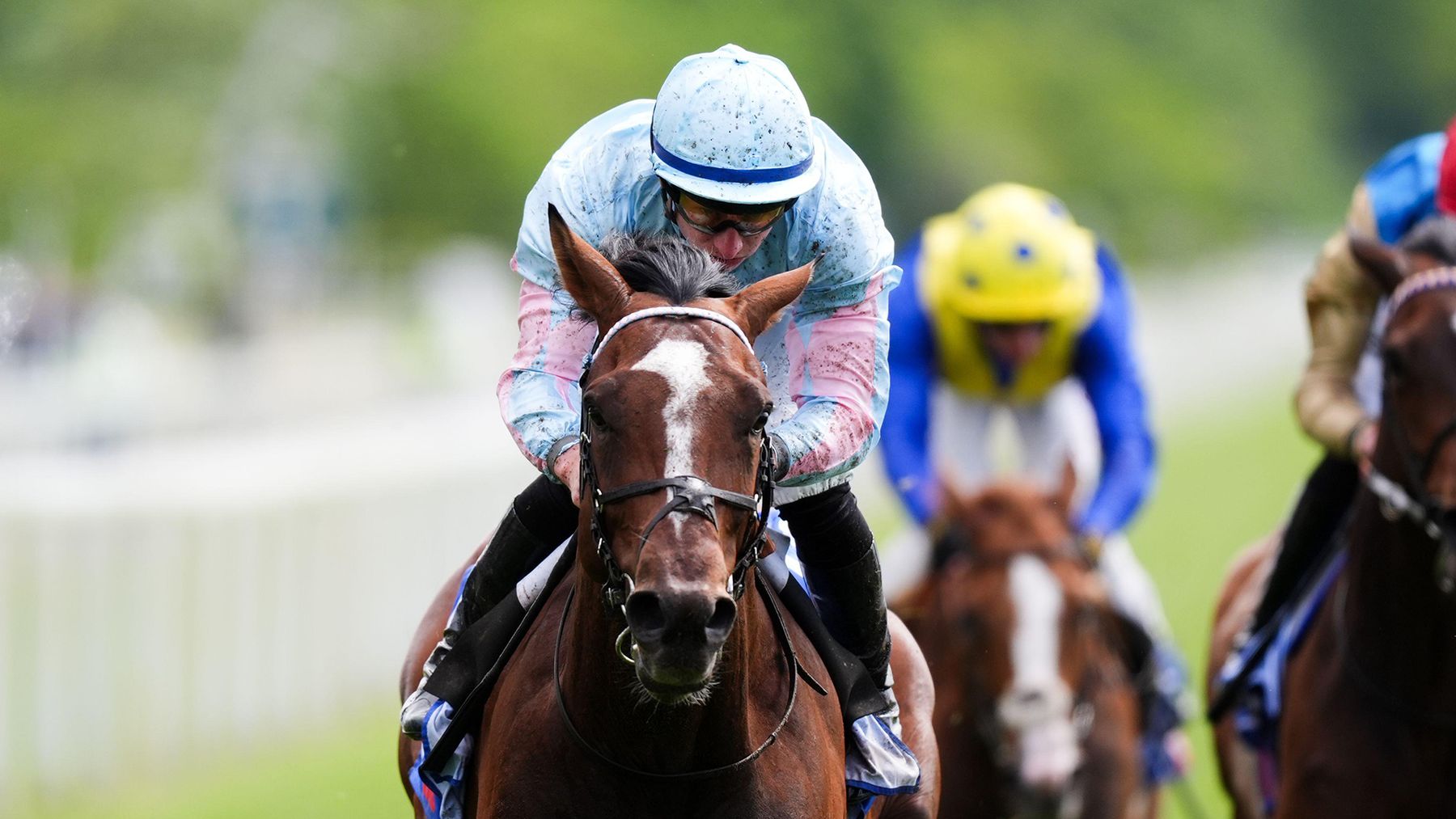 Live racing blog: Trackside Live updates from the Dante Festival at York