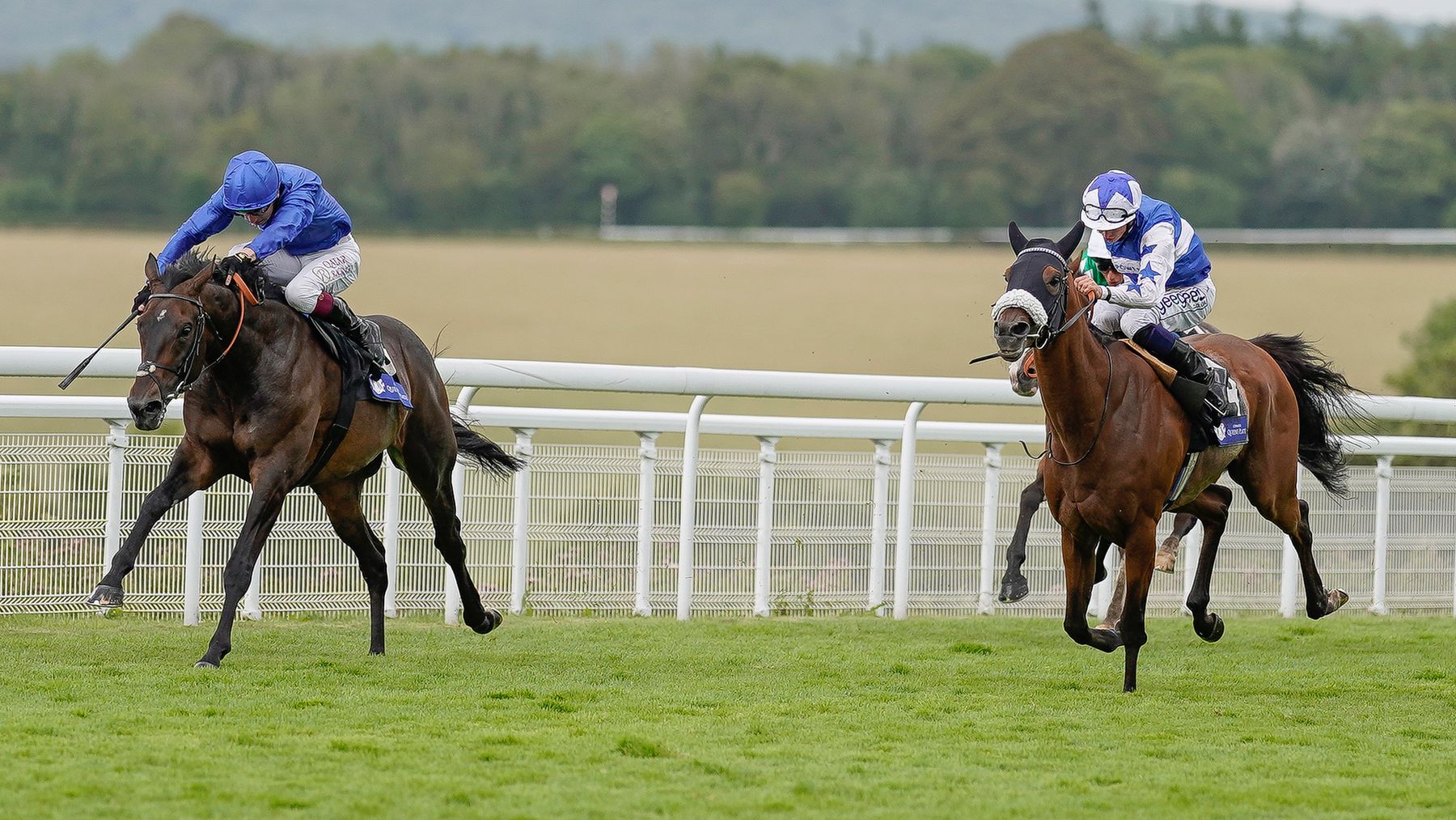 Dan Briden Two-Year-Old Guide: David Redvers