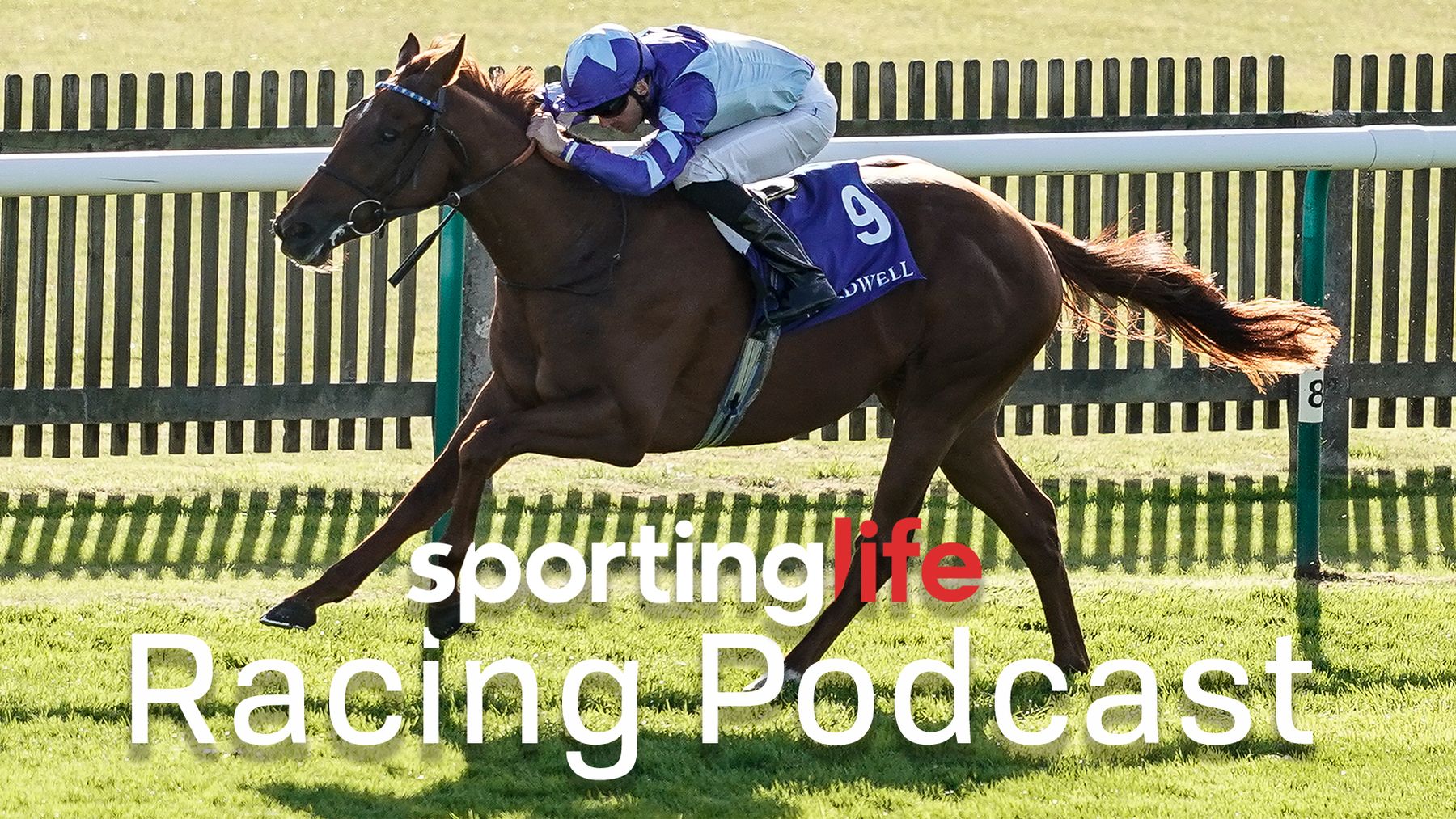 Sporting Life Racing Podcast: Classic questions