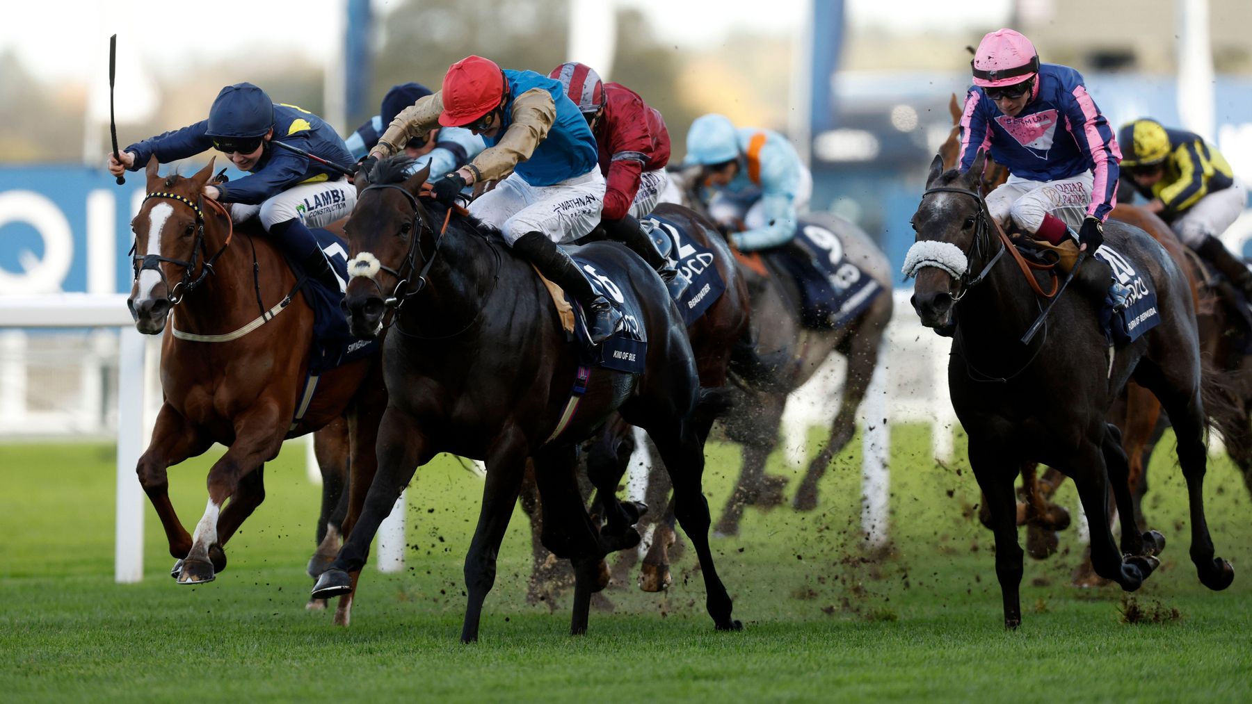 Alex Hammond racing blog | Betfair Sprint Cup preview and tips