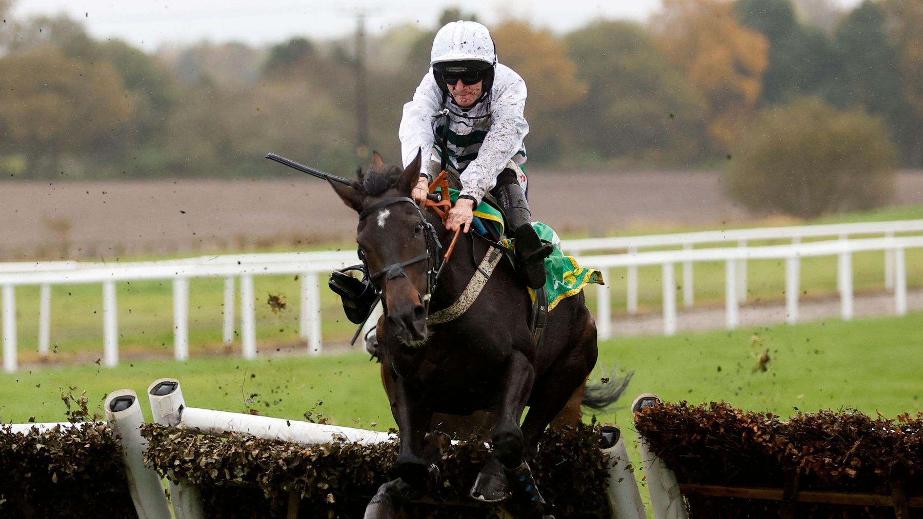 Ascot tips: Long Walk Hurdle horse-by-horse guide