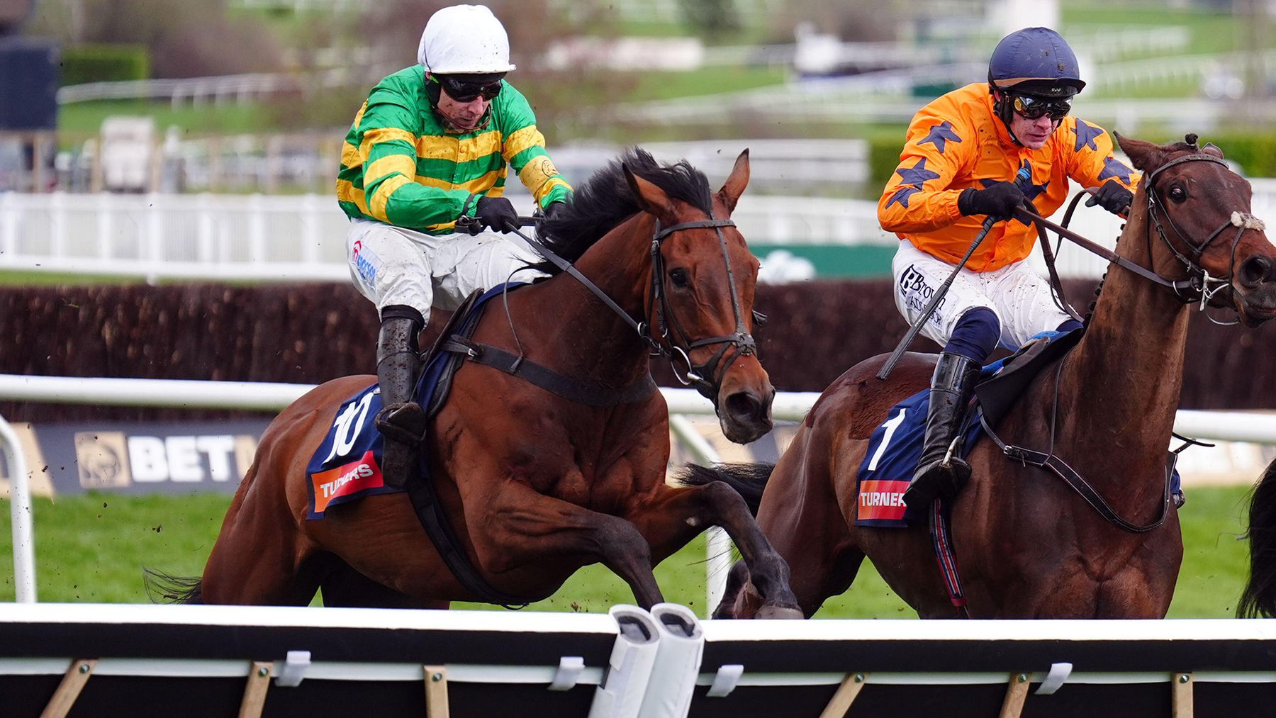 The New Lion set to bypass Christmas Hurdle and wait for Cheltenham