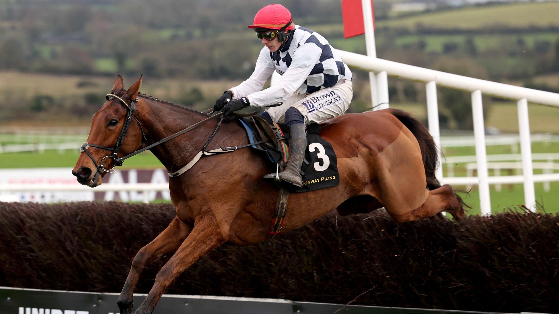 Dublin Racing Festival preview and tips: Expert panel on the Leopardstown action