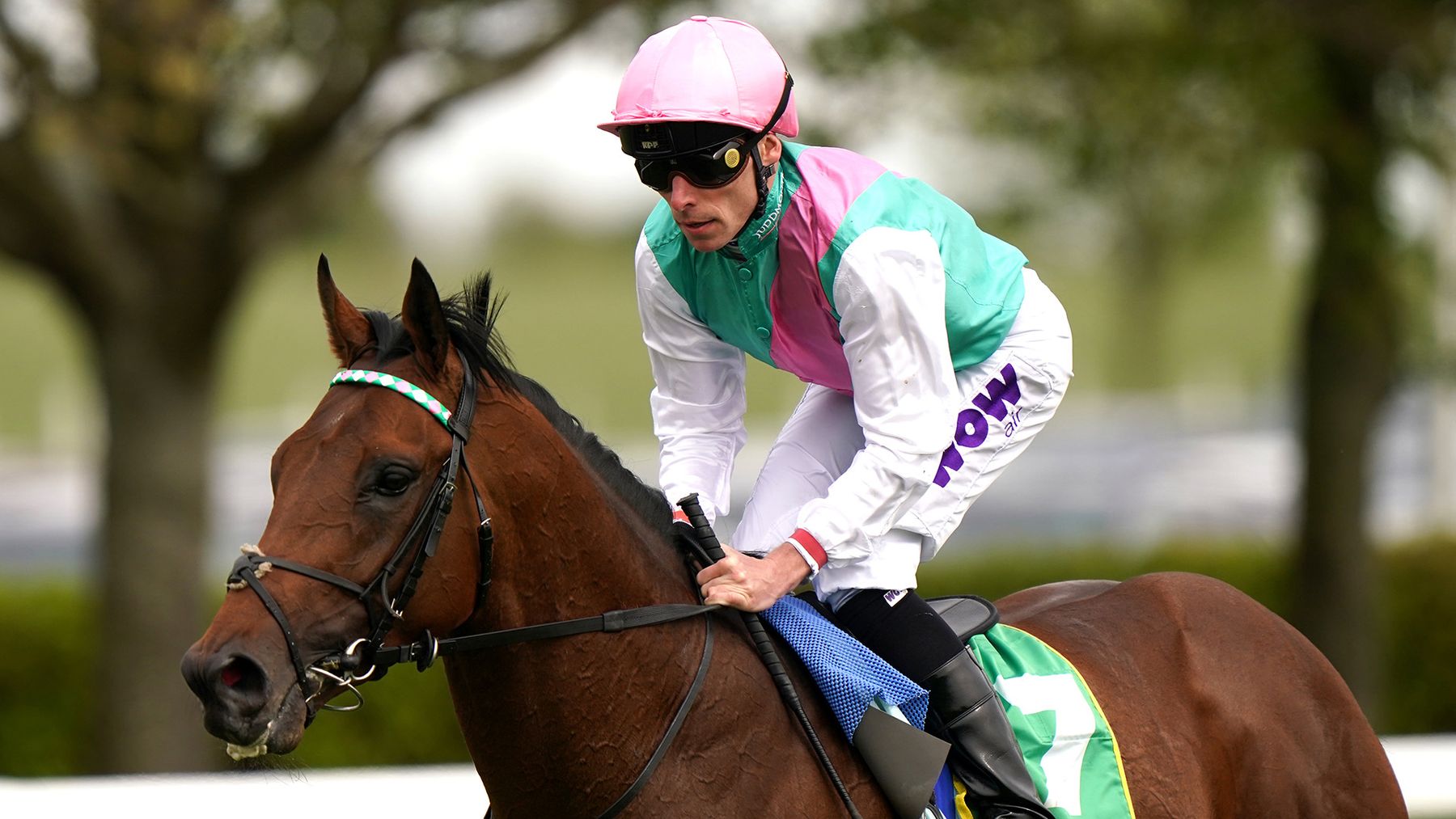 Can John and Thady Gosden build back to the top of British Trainers ...