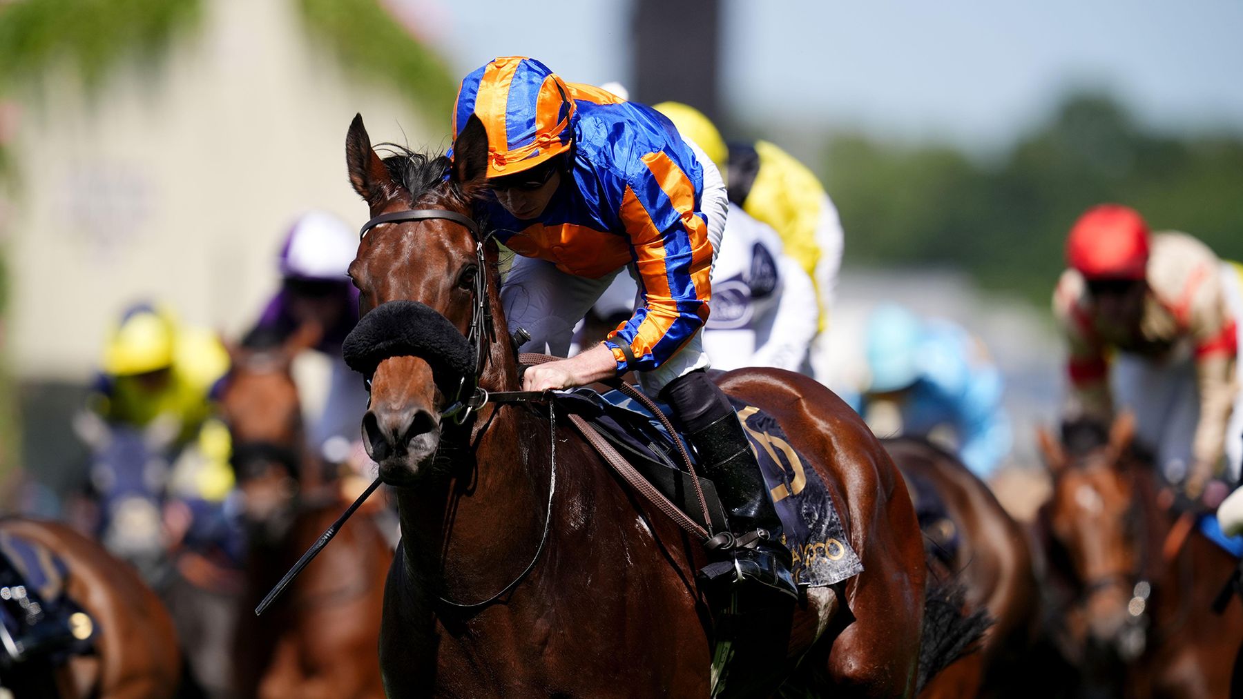 Trackside Live from Royal Ascot: parade ring updates and selections
