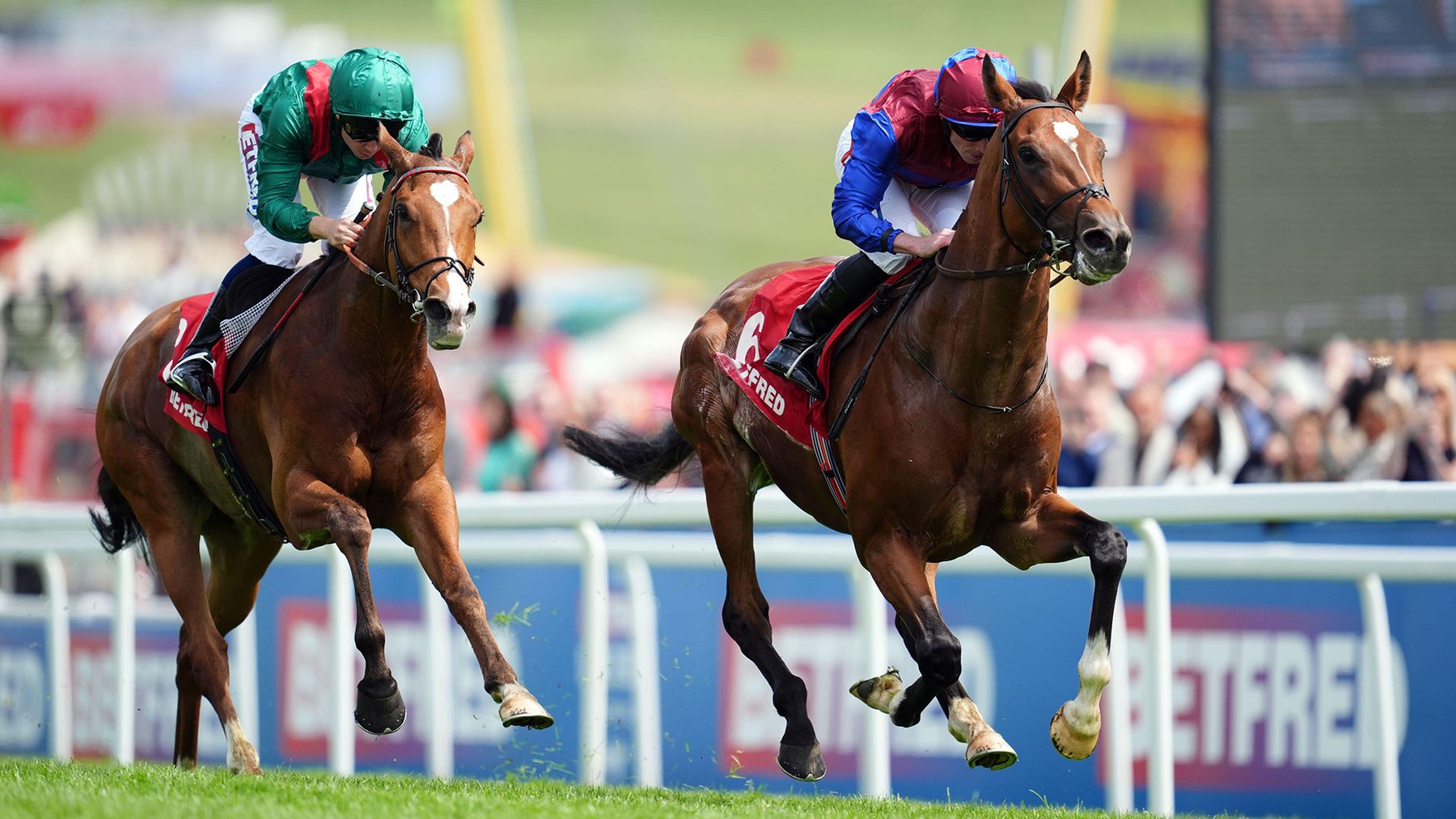 Blaire ivoy xxx athletic Latina with a nice body busty D's