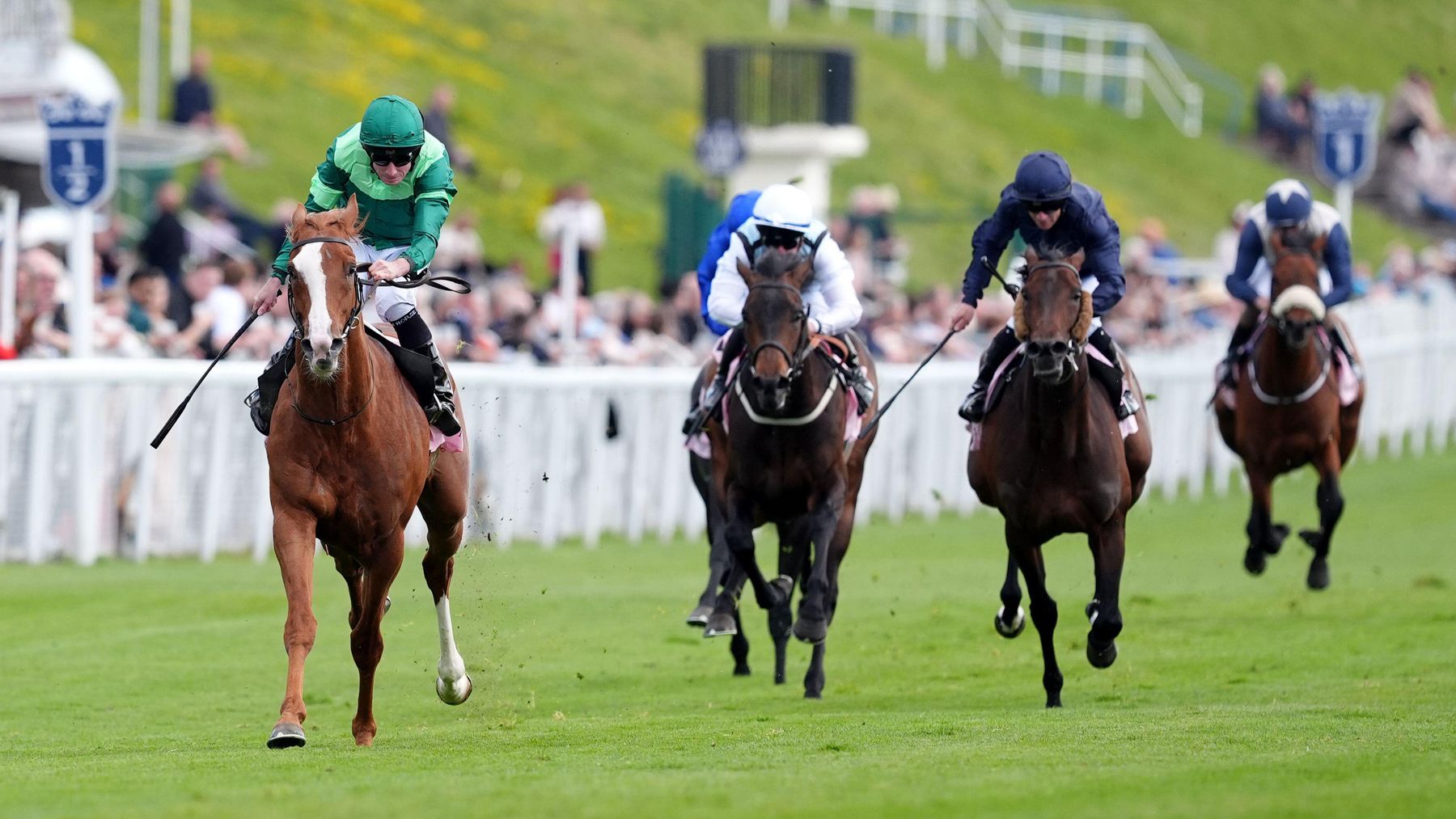 Betfred Derby tips: Horse-by-horse guide, preview and selection for ...