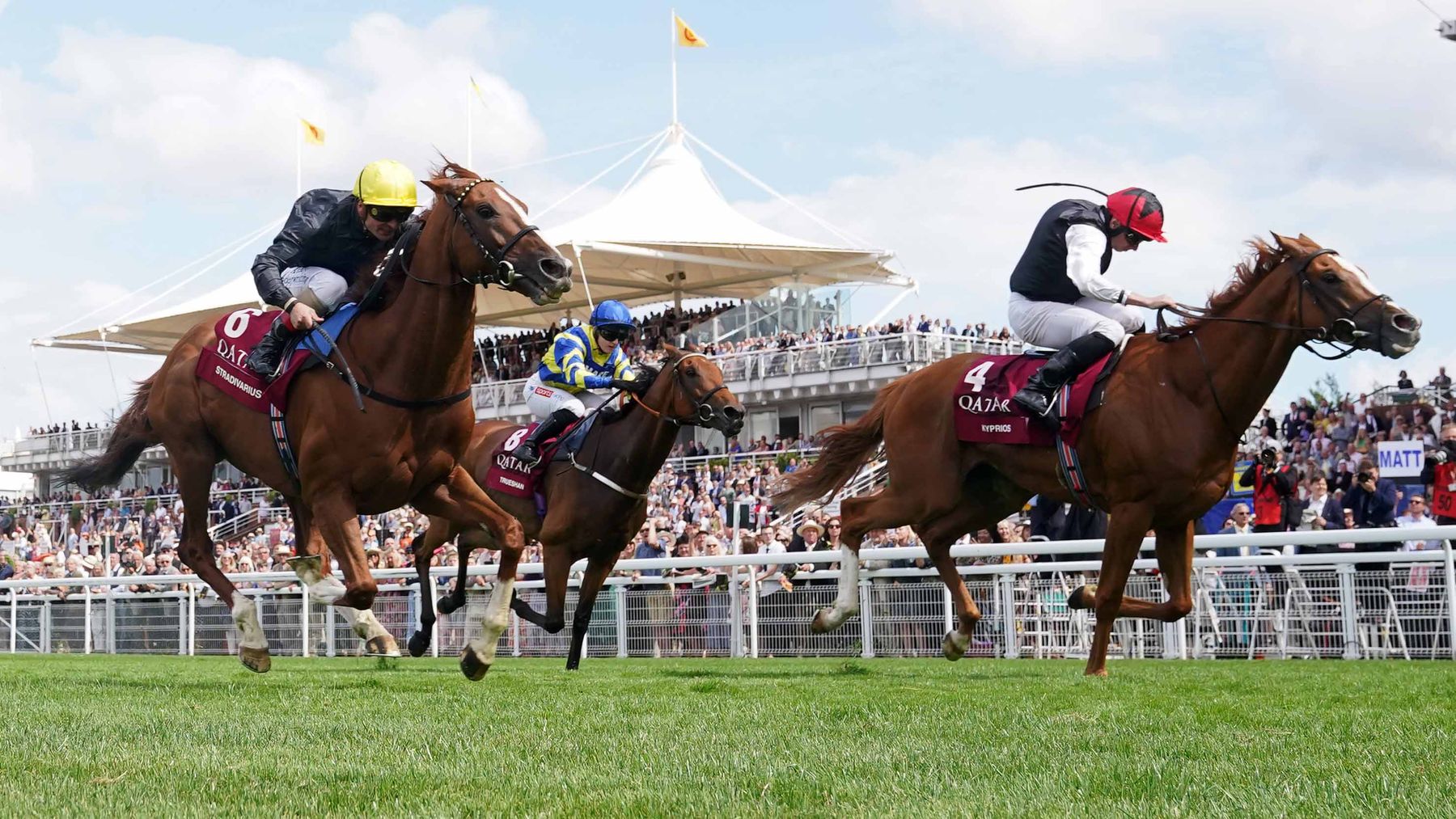 Horse racing analysis: Timeform's top stayers of 2022