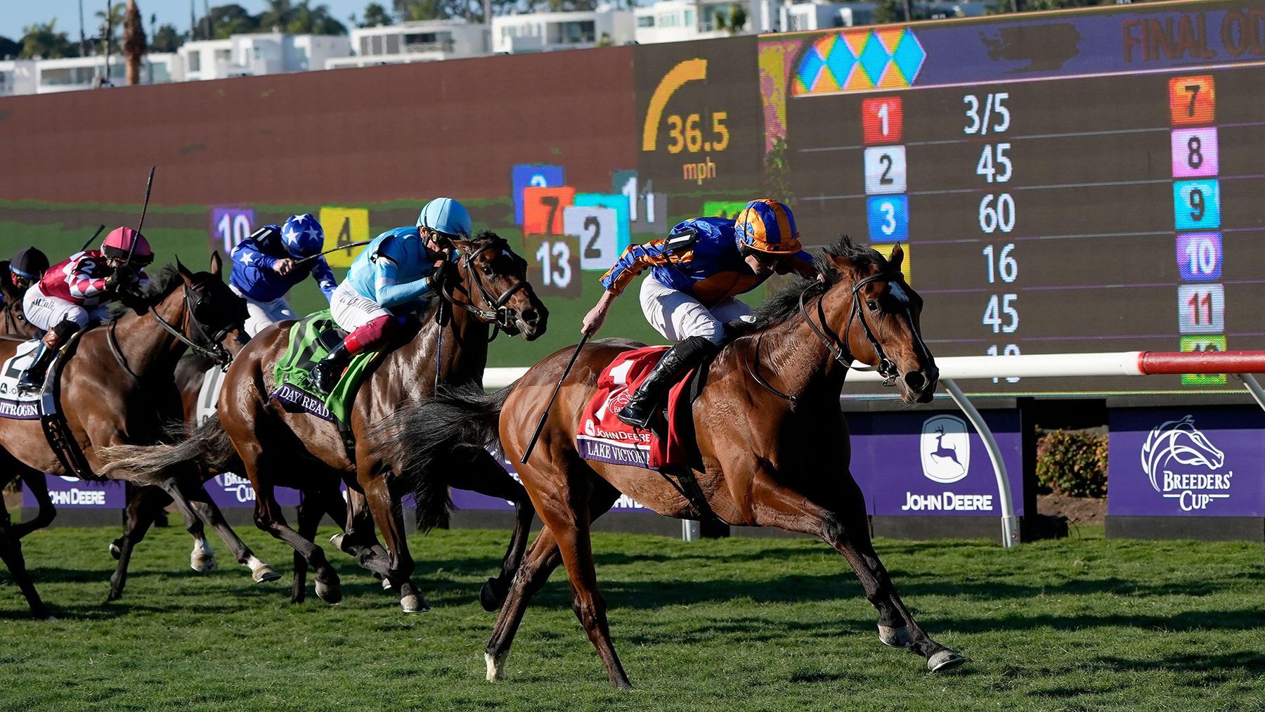 Expert Panel: Weekend Racing | Tips for the Irish Guineas weekend at ...