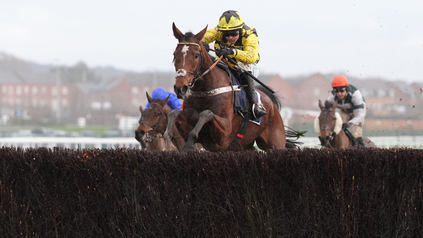 Lulamba all set for Arkle Challenge at Cheltenham Festival