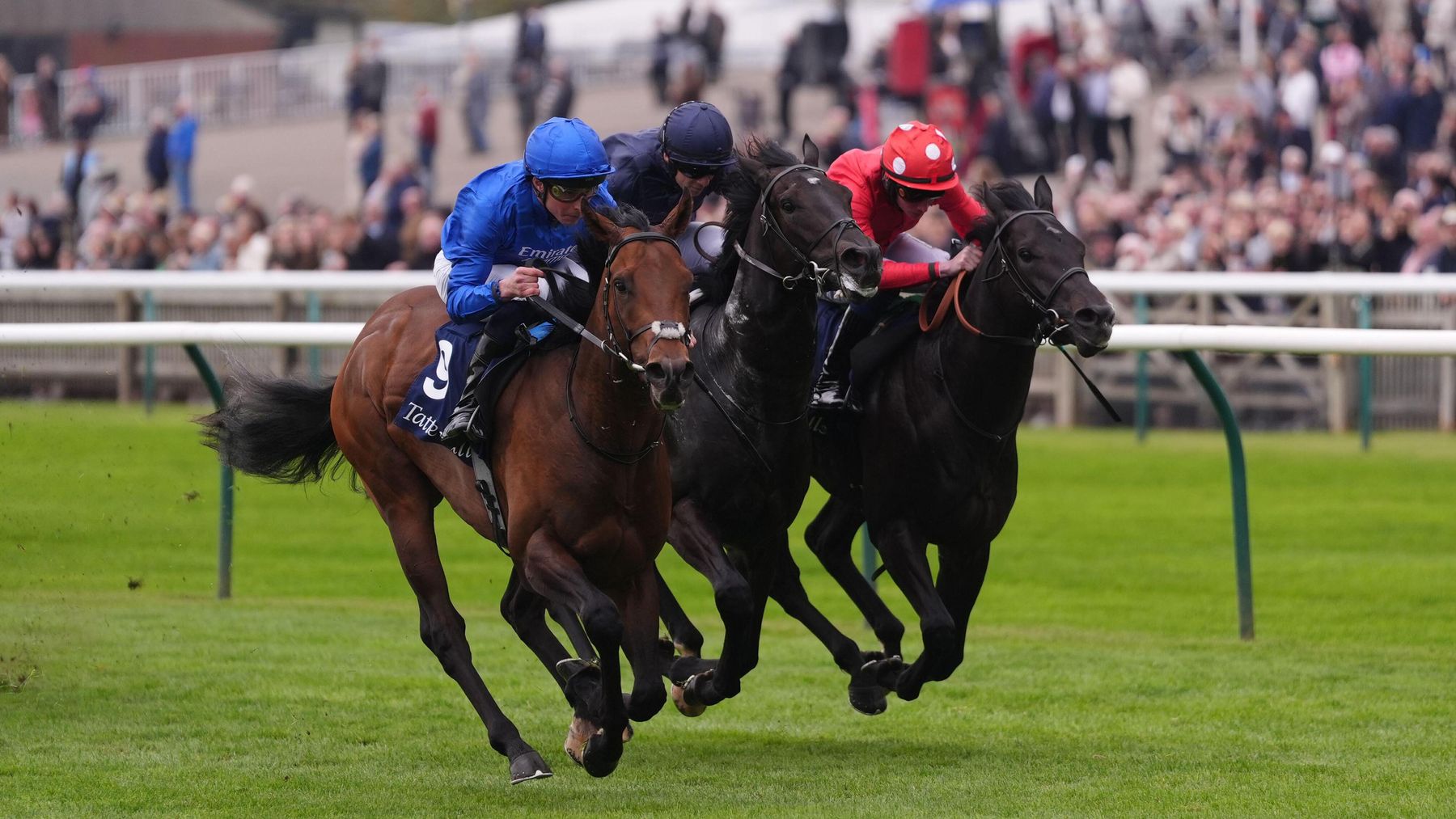 Newmarket Saturday analysis: Timeform view from Simon Baker