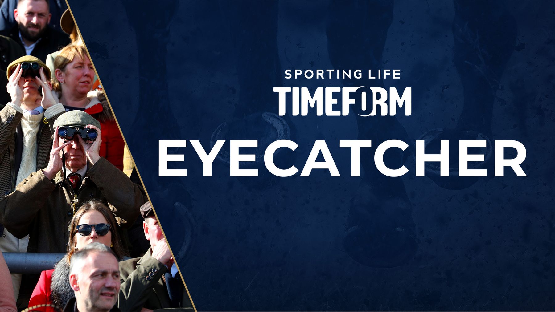 Timeform Eyecatcher of the Day