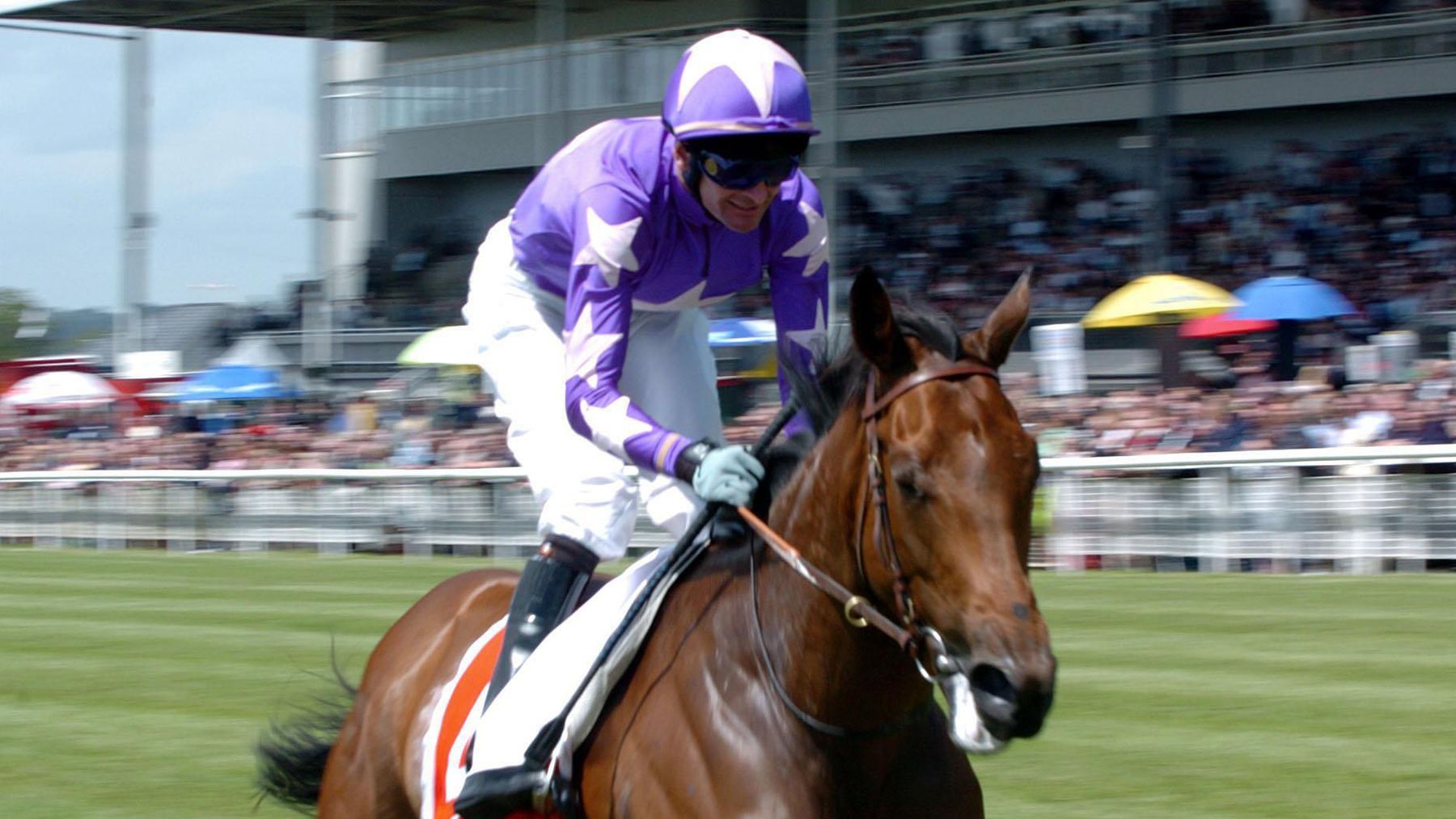 Dan Briden Two-Year-Old Guide: Freddie & Martyn Meade, Jedd O'Keeffe & John Quinn