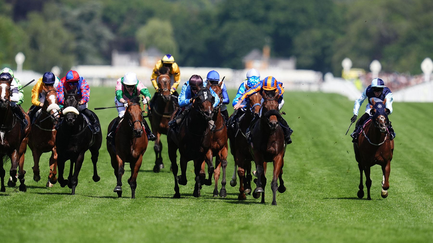 Mission Central won the King Charles III Stakes at Royal Ascot | report ...
