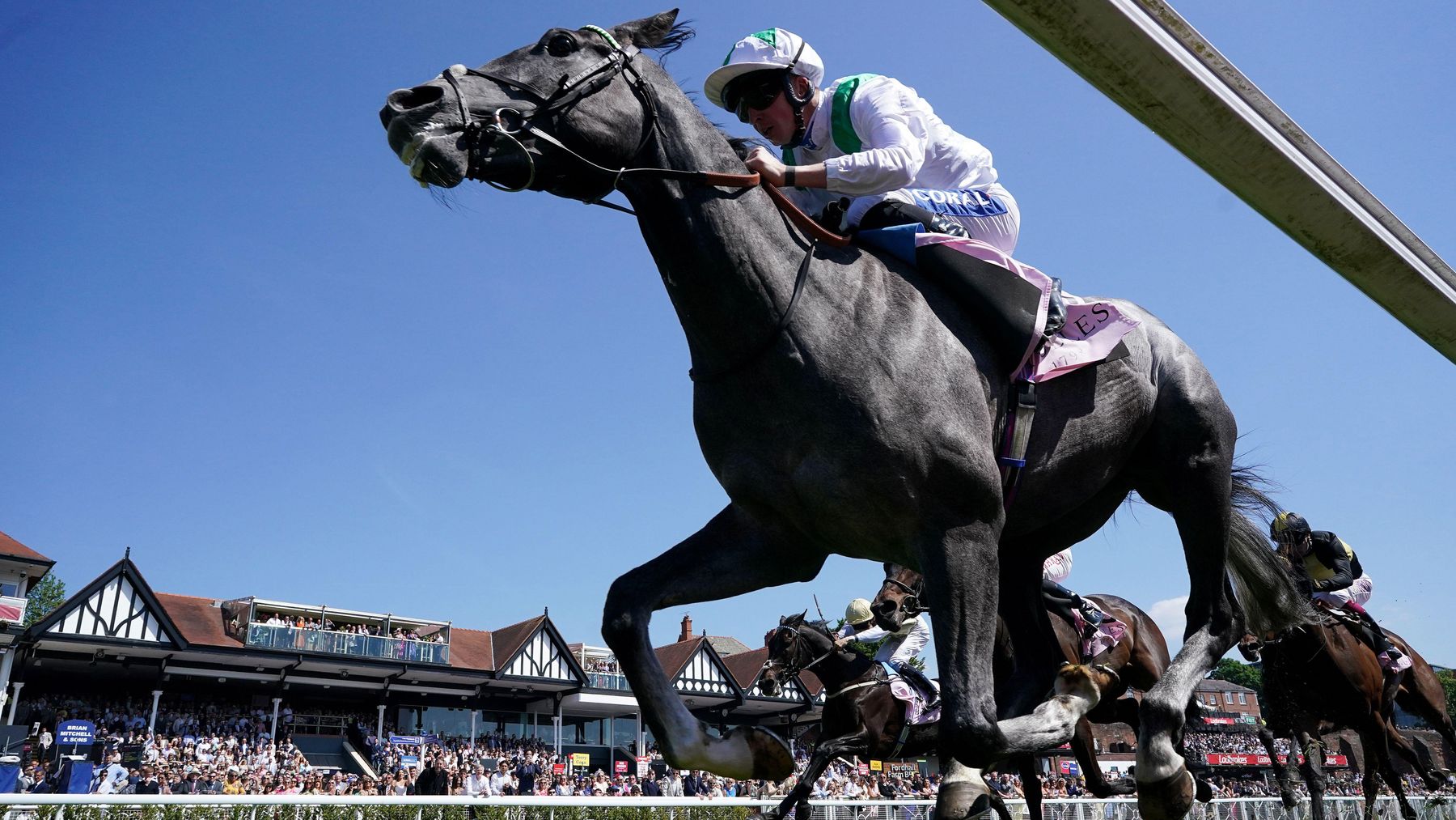 Betfred Derby latest news | 'It is his life goal to win it' Ahmad Al ...