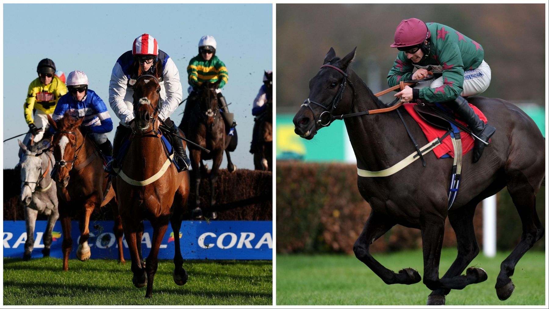 Iess gob ec consulta cita medica