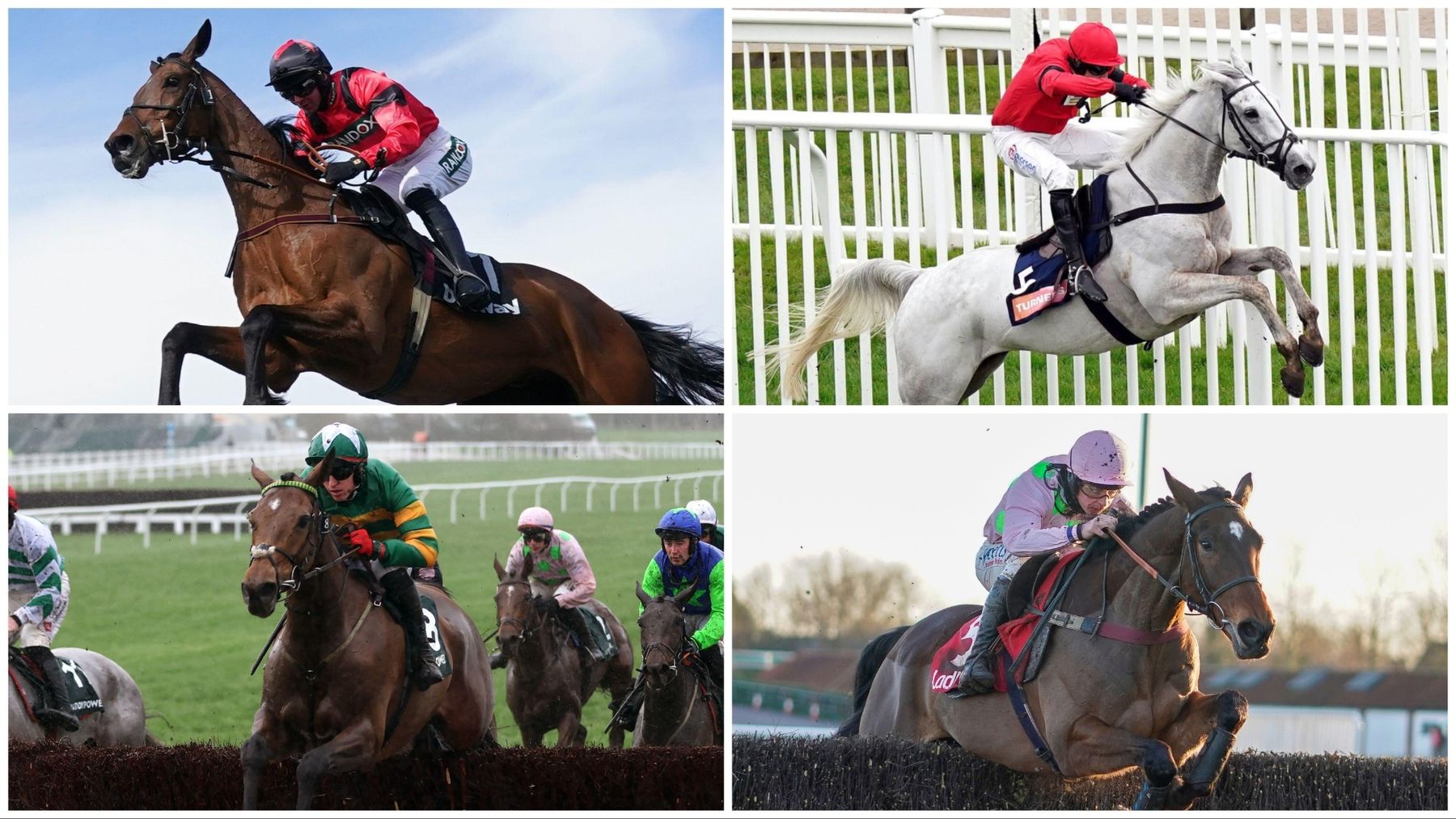 Betfair Chase preview: For or against Grey Dawning?