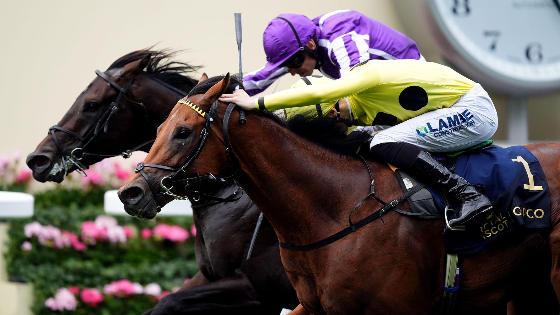 Trackside Live recap from Royal Ascot: parade ring updates and selections