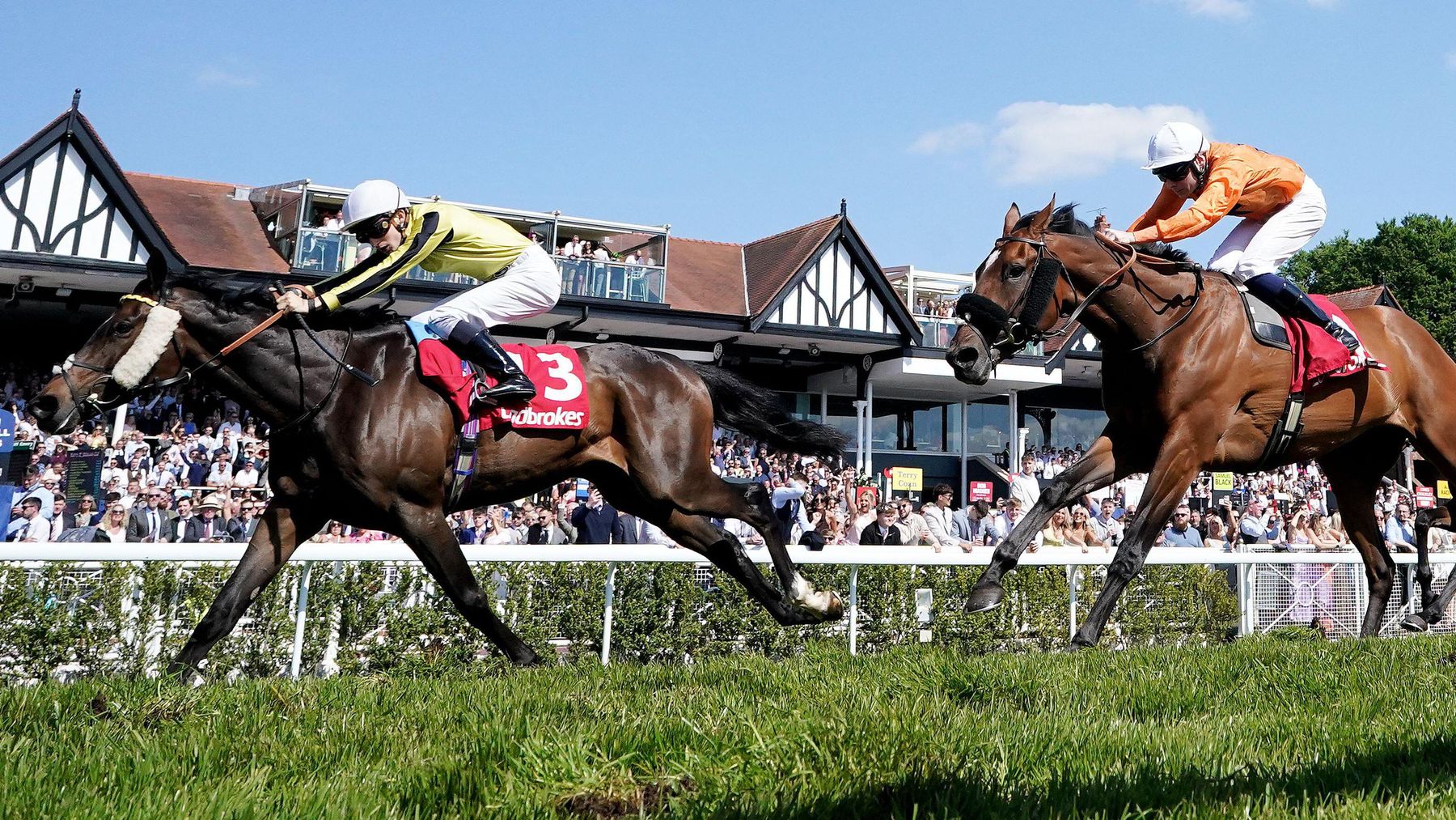 Ladbrokes Chester Cup report and replay: East India Dock justifies ...